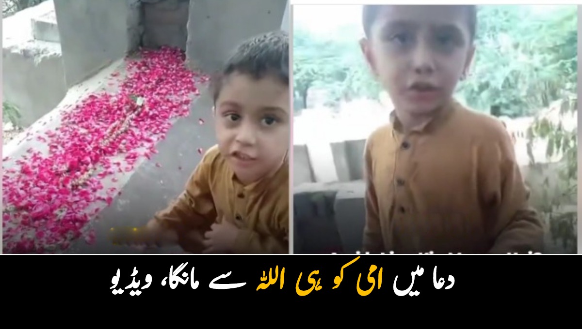 میں نے دعا میں امی کو ہی مانگا ہے ۔۔ دیکھیں وہ منظر جب معصوم بچہ اپنی ماں کی قبر پر جا کر کیسے
